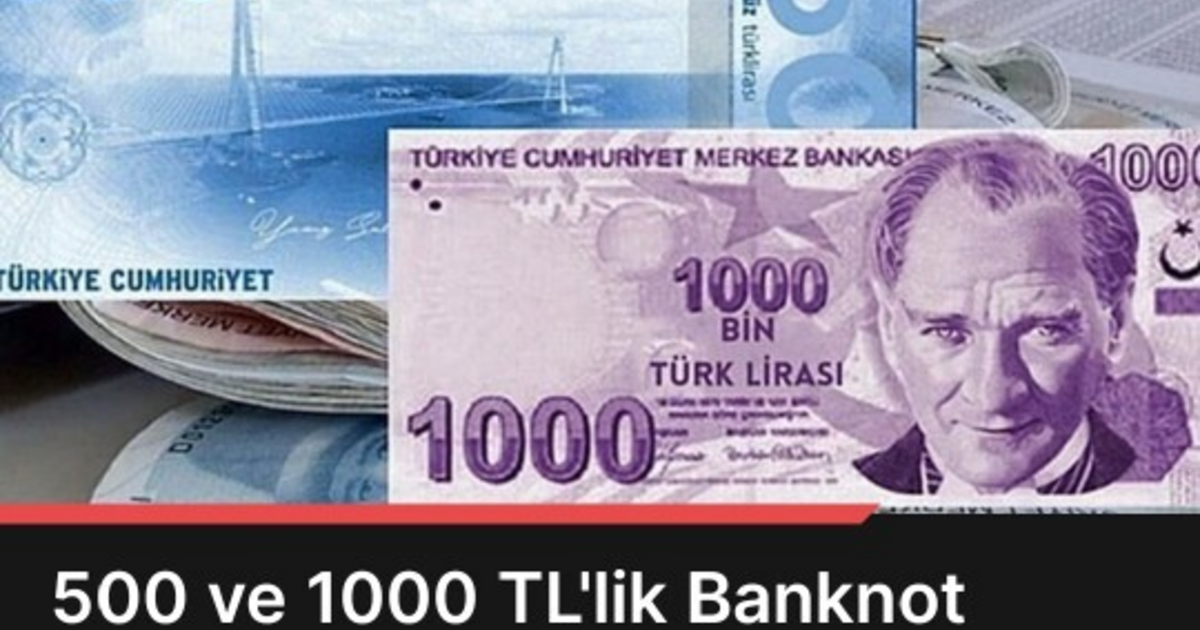 500 ve 1000 TL'lik banknotlar basılmalı mı, neden? - KizlarSoruyor