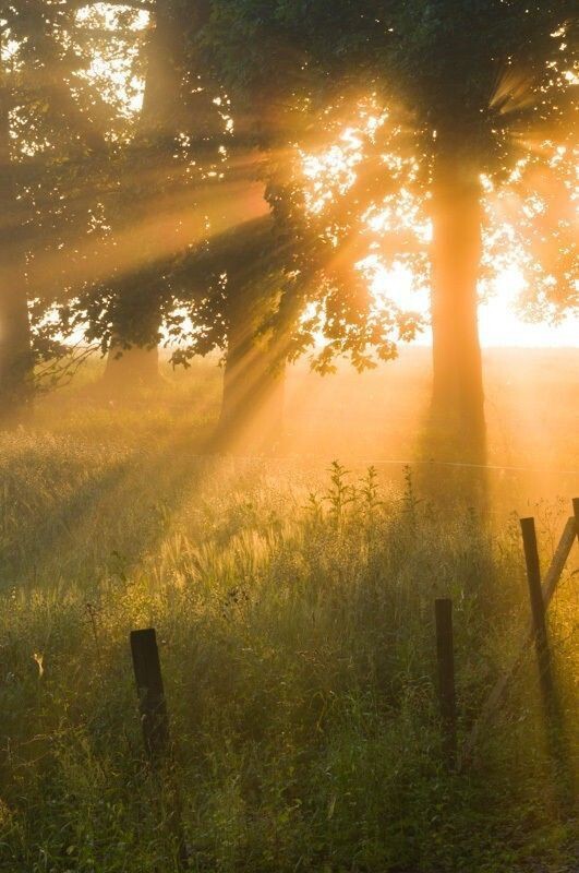 Bir insan bazen kendi içindeki sıkıntıyı söylemese bile, karşı taraf ...