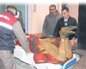 Domuz bağı nedir anlamadım?