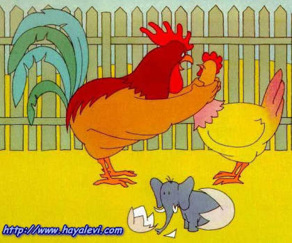 Tavuk eti mi daha yararlı yoksa horoz eti mi? - KizlarSoruyor